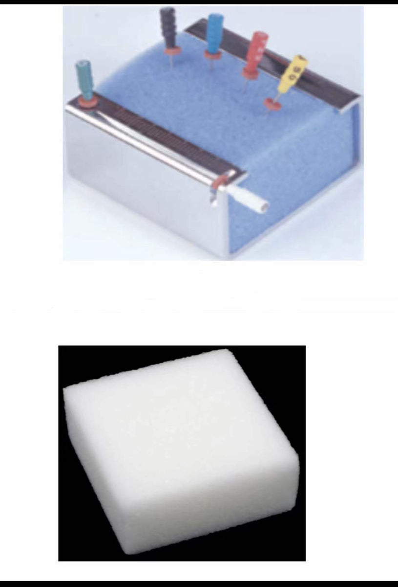 Dental Endo File Holder Autoclavable Dispenser – LJ Healthcare